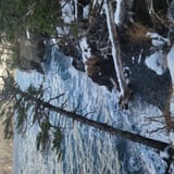 Emerald Cove Trail, Alaska - 285 Reviews, Map | AllTrails