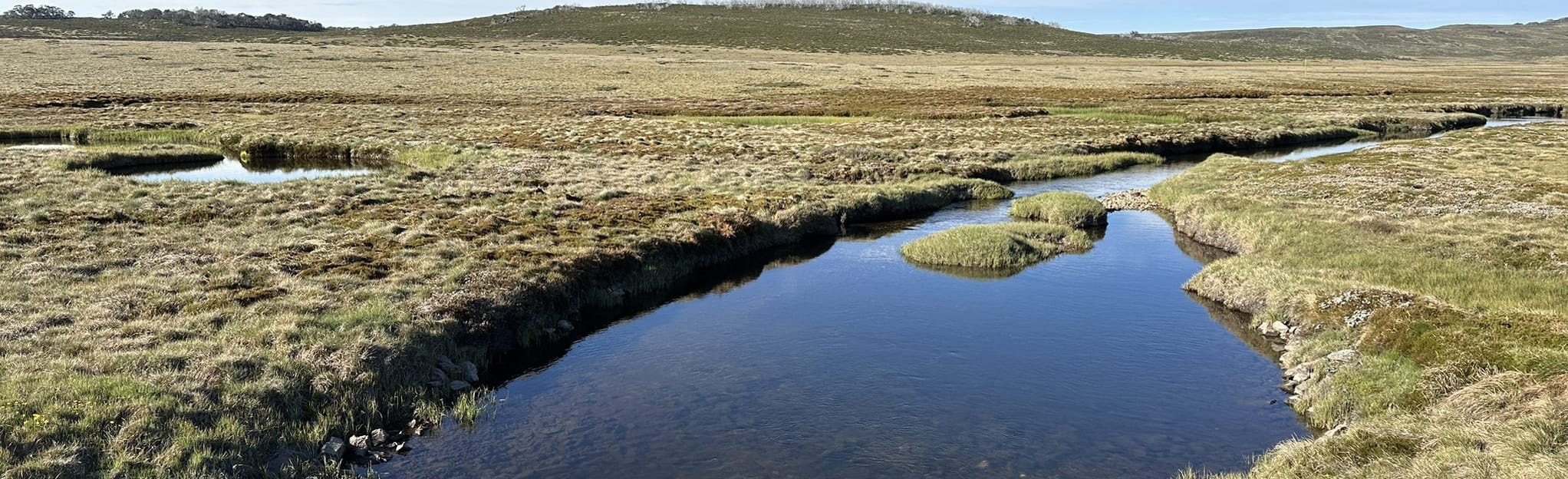 Pretty Valley to Cope Hut: 25 foto - Vittoria, Australia | AllTrails