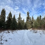 Moon Lake Trail, Manitoba, Canada - 267 Reviews, Map | AllTrails