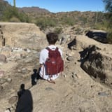 Hawes Trail System Loop, Arizona - 1,046 Reviews, Map | AllTrails