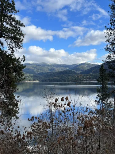 Best Forest Trails in Hayden | AllTrails