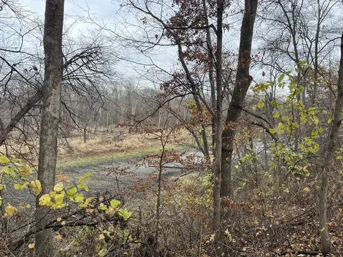 Best River Trails in Waverly | AllTrails