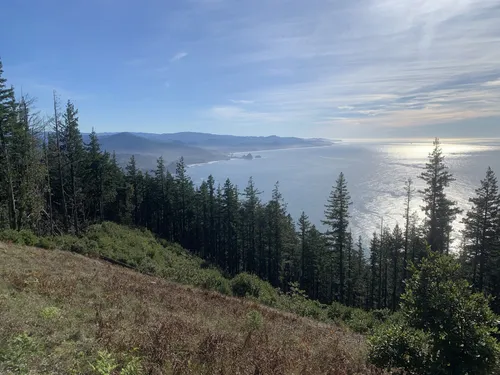 Best 10 Hiking Trails in Humbug Mountain State Park | AllTrails