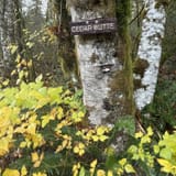 Cedar Butte Trail, Washington - 1,874 Reviews, Map | AllTrails