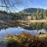 Cedar Butte Trail, Washington - 1,874 Reviews, Map | AllTrails