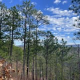 Pin-Chin-Sky Loop, Alabama - 677 Reviews, Map | AllTrails