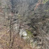 Pin-Chin-Sky Loop, Alabama - 677 Reviews, Map | AllTrails