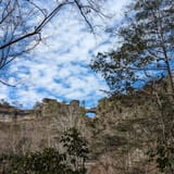 Window Cliffs Trail, Tennessee - 1,381 Reviews, Map | AllTrails