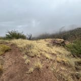 Reavis Ranch Trail to Fire Line Trail, Arizona - 97 Reviews, Map ...