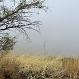 Reavis Ranch Trail to Fire Line Trail, Arizona - 111 Reviews, Map ...