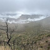 Reavis Ranch Trail to Fire Line Trail, Arizona - 97 Reviews, Map ...