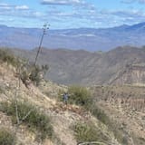 Reavis Ranch Trail to Fire Line Trail, Arizona - 111 Reviews, Map ...