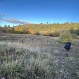 Reavis Ranch Trail to Fire Line Trail, Arizona - 111 Reviews, Map ...