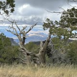 Reavis Ranch Trail to Fire Line Trail, Arizona - 111 Reviews, Map ...