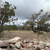 Reavis Ranch Trail to Fire Line Trail, Arizona - 111 Reviews, Map ...