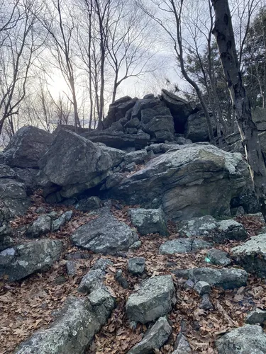 Best Hikes and Trails in Hawk Mountain Sanctuary | AllTrails