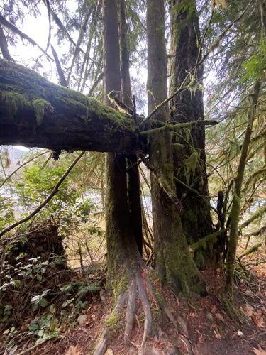 2023 Best Kid Friendly Trails in Paldi | AllTrails