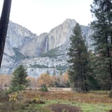 Sentinel Meadow Cook's Meadow Loop Trail, California - 2,858 Reviews ...