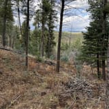 Grindstone Canyon Loop, New Mexico - 1,562 Reviews, Map | AllTrails