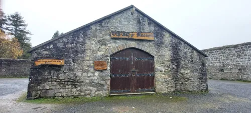 Best Hikes and Trails in Mountbellew Forest | AllTrails