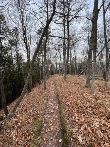 Best Hikes and Trails in Whaleback Natural Area | AllTrails