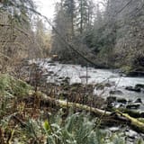 Boulder River Trail, Washington - 1,679 Reviews, Map | AllTrails