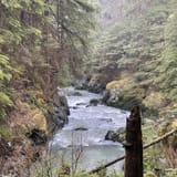 Boulder River Trail, Washington - 1,679 Reviews, Map | AllTrails