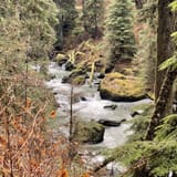 Boulder River Trail, Washington - 1,679 Reviews, Map | AllTrails