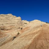 Yant Flats Trail, Utah - 1,097 Reviews, Map | AllTrails