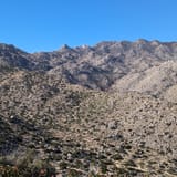 Culp Valley Overlook Trail, California - 203 Reviews, Map | AllTrails