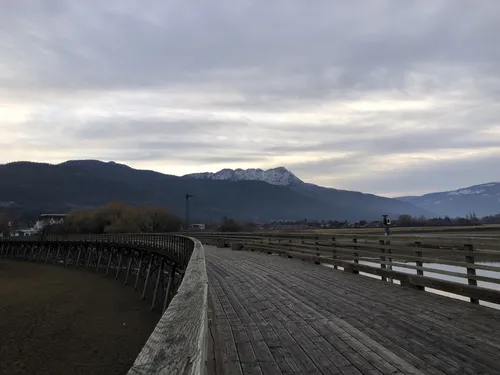Best Hikes and Trails in Salmon Arm Naturalist Park | AllTrails
