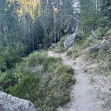 Boole Tree Loop, California - 194 Reviews, Map | AllTrails