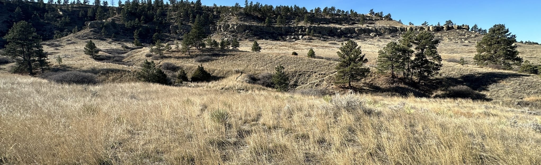 Phipps Park Trail, Montana - 317 Reviews, Map | AllTrails