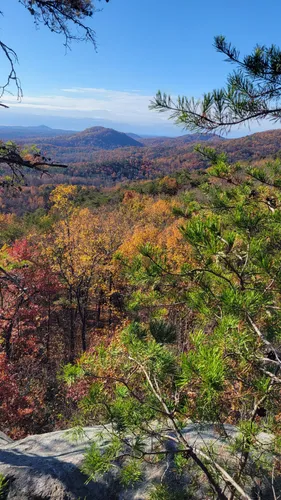 Best Hikes and Trails in Nine Times Preserve | AllTrails