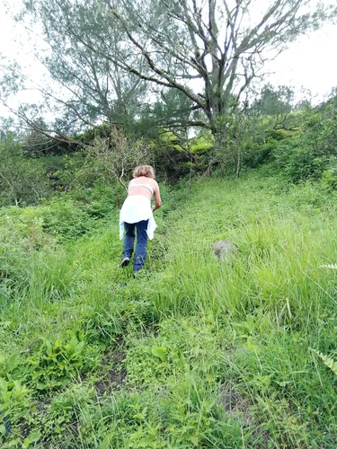 Best Forest Trails in Rikitea | AllTrails