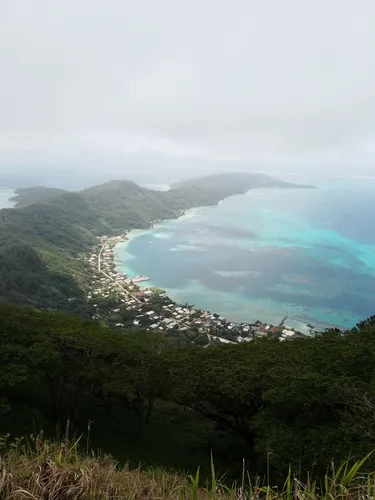 Best Forest Trails in Rikitea | AllTrails