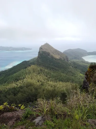 Best Forest Trails in Rikitea | AllTrails