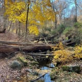 Tyler State Park Trail, Pennsylvania - 1,661 Reviews, Map | AllTrails