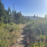 Boole Tree Loop, California - 194 Reviews, Map | AllTrails