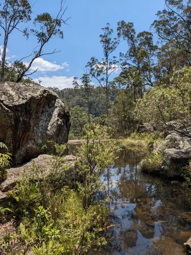 Best Hikes and Trails in Blackdown Tableland National Park | AllTrails