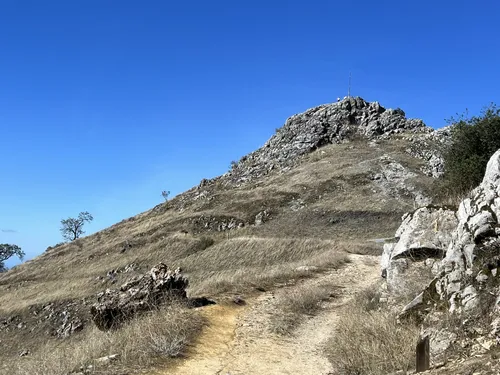 Best Hikes and Trails in Fremont Peak State Park | AllTrails
