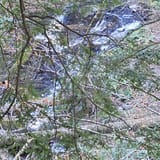 Paradise Park Loop, Vermont - 224 Reviews, Map | AllTrails