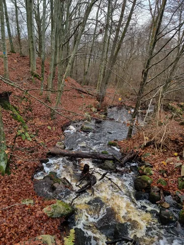 Best Hikes and Trails in Fulltofta naturreservat | AllTrails