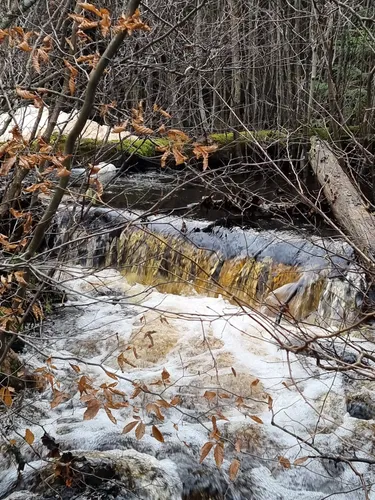 Best Walking Trails in Fulltofta naturreservat | AllTrails