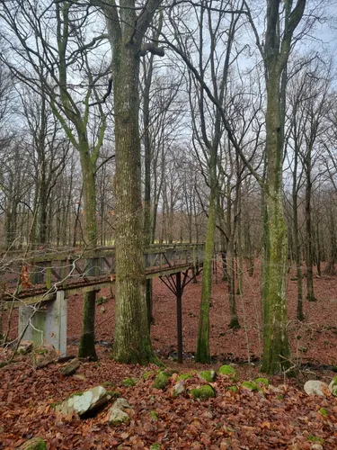 Best Walking Trails in Fulltofta naturreservat | AllTrails