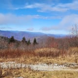 Sam Knob Trail, North Carolina - 1,355 Reviews, Map | AllTrails