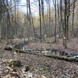 Rush Pond Trail, New York - 935 Reviews, Map | AllTrails