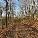 Hard Times Loop, North Carolina - 1,272 Reviews, Map | AllTrails
