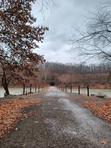 Best Hikes and Trails in Conemaugh Lake Recreation Area | AllTrails