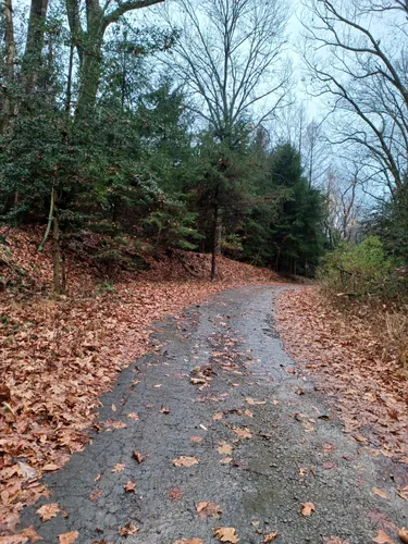 Best Hikes and Trails in Conemaugh Lake Recreation Area | AllTrails